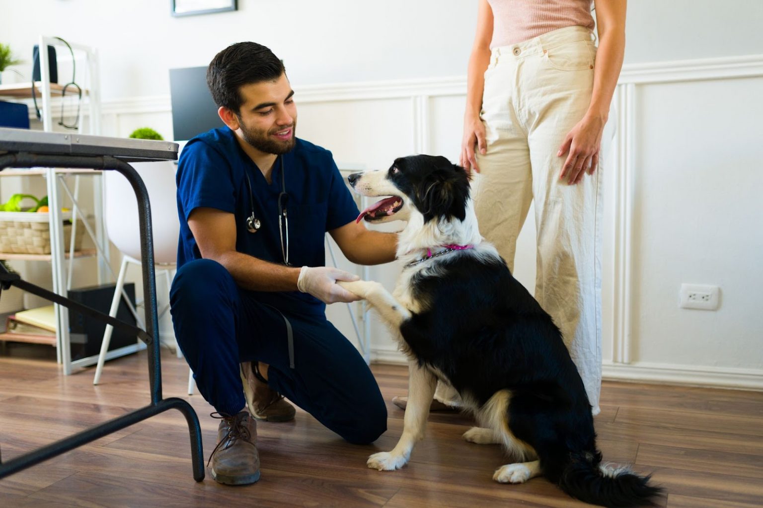 How to Greet a Dog The Right (And Wrong) Way – Good Life Inc